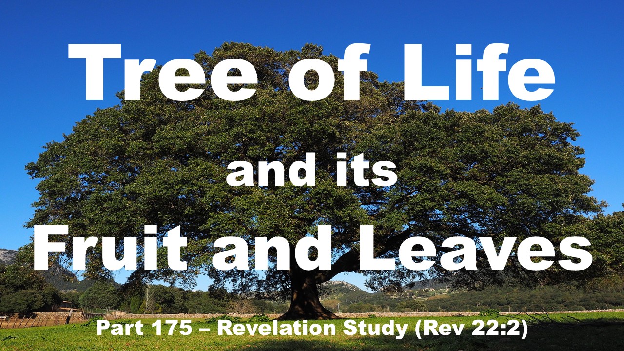 175 - The Tree of Life Fruits and leaves in eternity - The Rock of ...