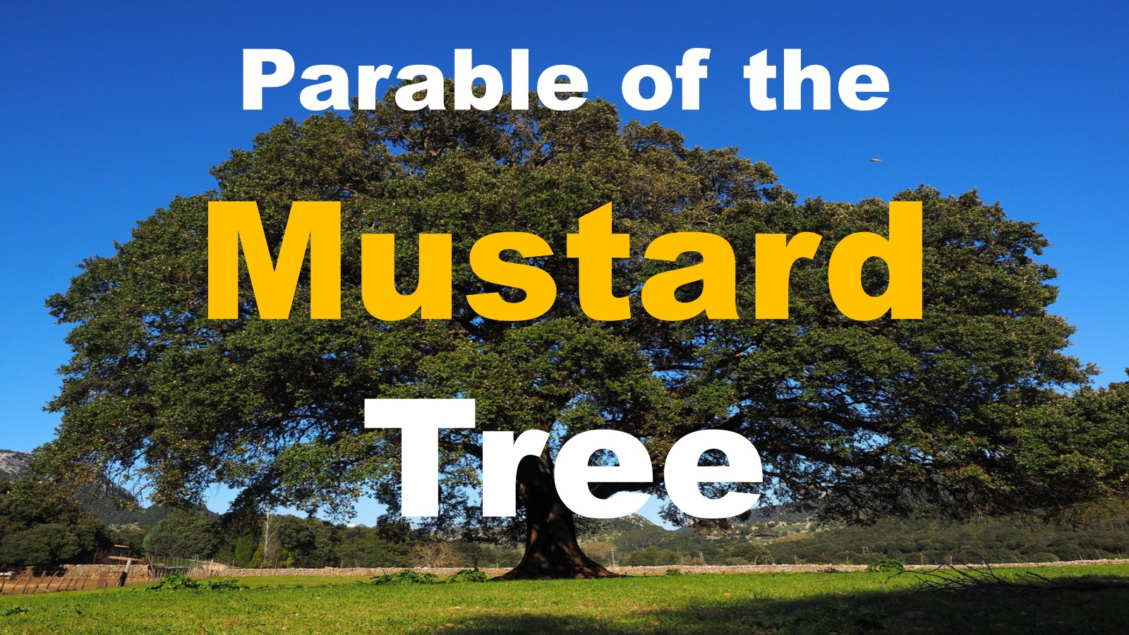 06 - Picture Cover Mustard Seed - The Rock of Offence - Jesus Christ