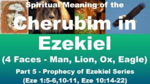 Cherubim Four Faces - Symbolic Meaning - The Rock of Offence - Jesus Christ